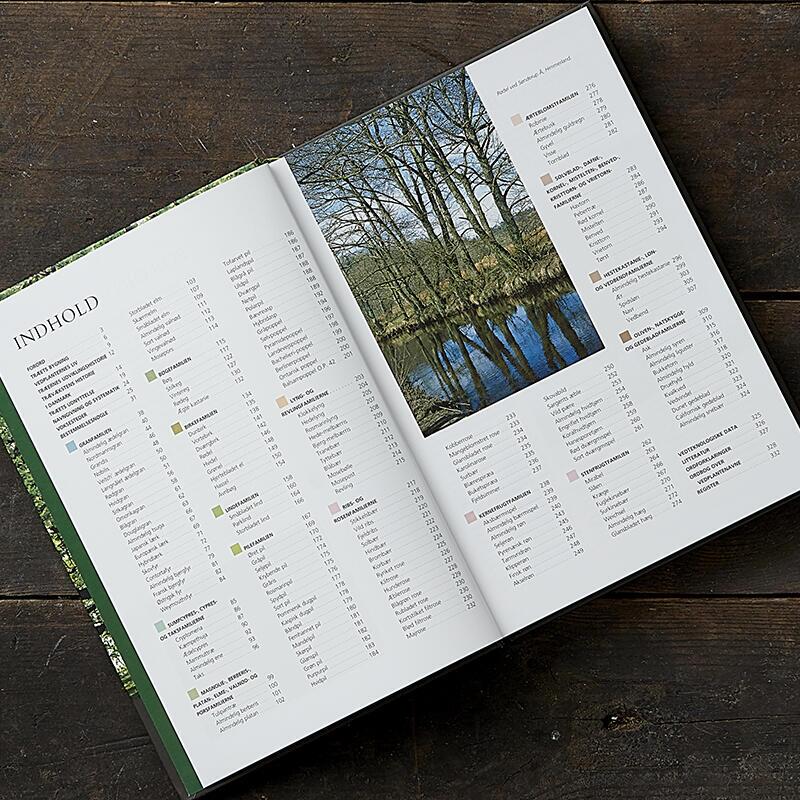 Danmarks træer og buske | Håndbog om dansk natur